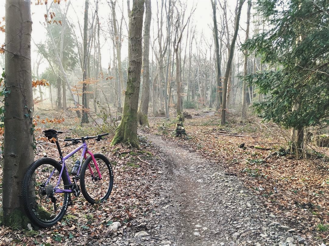 The Big Bro 29er // Our New Adventure Bike | Brother Cycles